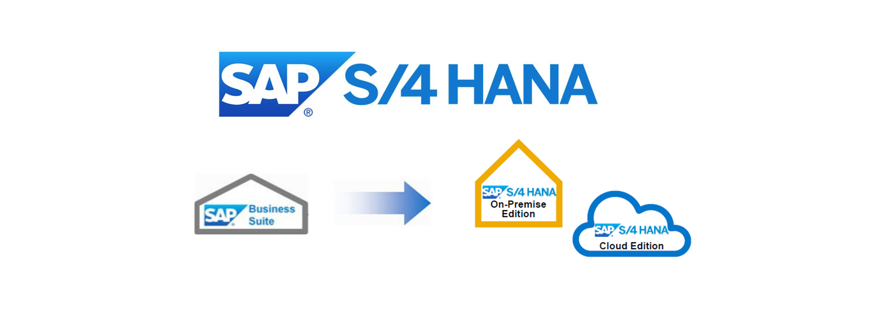 SAP S/4HANA Conversion in Malaysia: Everything You Need to Know ...